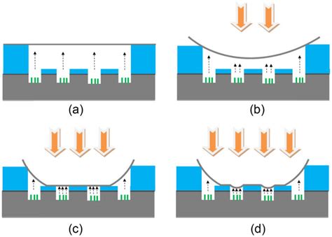 A Schematic Of The Application Of The Fabricated Cathode Structure