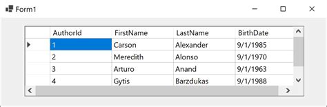 Winform Learn Entity Framework Core 5