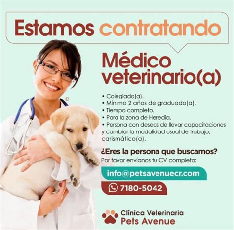 Escuela De Veterinaria San Francisco De Asís Bolsa De Empleos