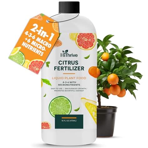 Best Nitrogen Fertilizer For Lemon Tree Top Citrus Fertilizers For