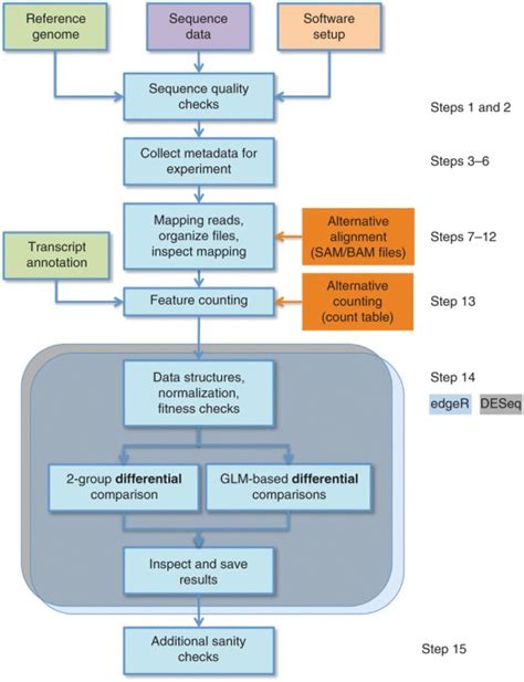 Count Based Differential Expression Analysis Of Rna Sequencing Data