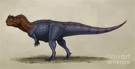 Ceratosaurus Art For Sale Fine Art America