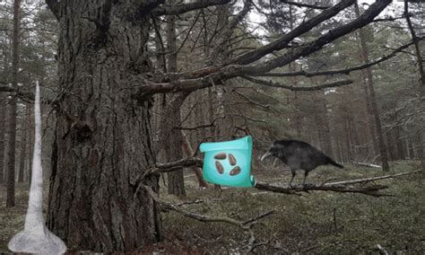 Ainars Escape Fan Free Escape Games By Ainars