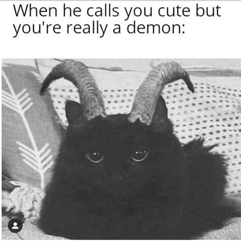 Blackcraft Cult Demon Cat Meme Black Cat With Horns Demon Cat Funny