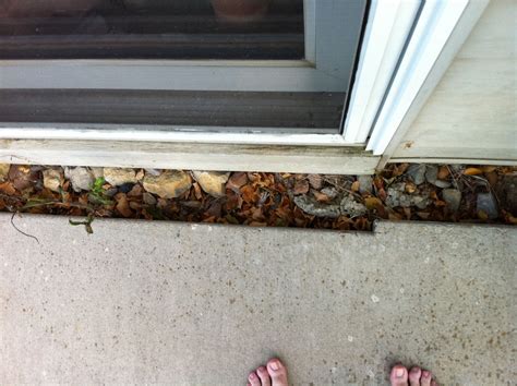 concrete how do i seal a large gap between slabs to avoid freeze thaw