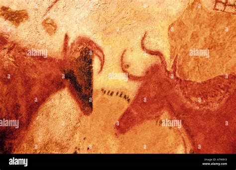 France Dordogne Lascaux Cave Paintings Representing The Aurochs