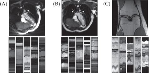 Examples Of Xy Images From Three Different Datasets And Examples Of The Download Scientific