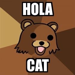 Meme Pedobear Hola Cat 4506795