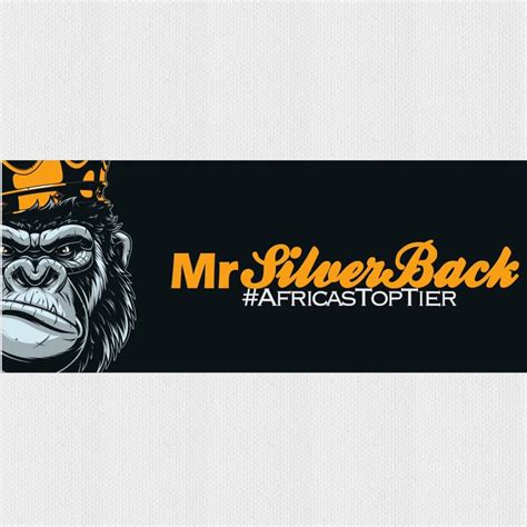 Mr Silverback