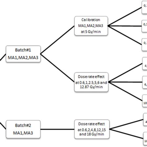 Scheme Of Irradiation Procedure For Calibration And Evaluation Of The Download Scientific