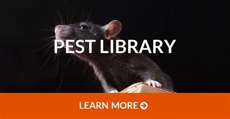 Environmental Pest Control Trusted Pest Control Service