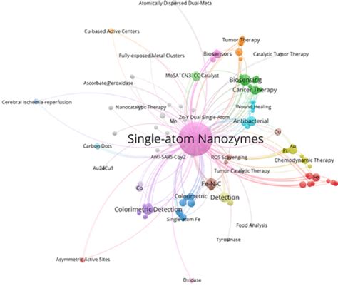 Single Atom Nanozymes From Precisely Engineering To Extensive Applications Accounts Of