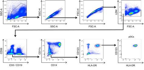 Figure 2 From Assessment Of Escape From X Chromosome Inactivation And