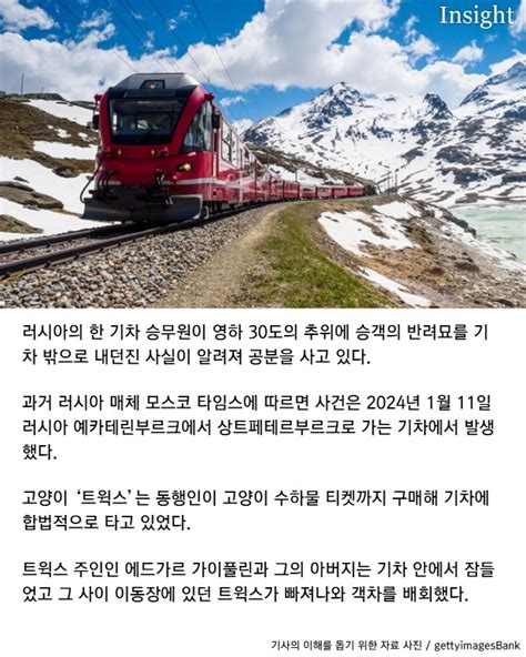 인사이트 펫 주인과 함께 여행가다 영하 30도 날씨에 기차에서 쫓겨나 얼어 죽은 고양이 😭 러시아의 한 기차 승무원이 영하 30도의 추위에 승객의 반려묘를 기차