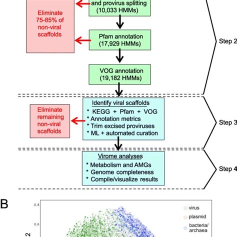 Representation Of Vibrants Method For Virus Identification And Virome Download Scientific