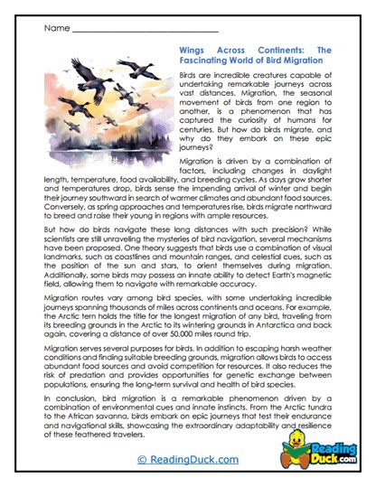 Birds Worksheets Avian Reading Comp Reading