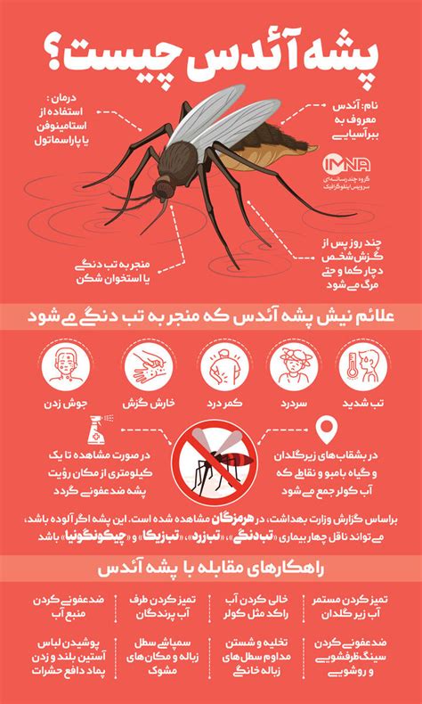 ابتلا به تب دانگی در کشور جدی است؟ علائم بیماری تب دانگ قدس آنلاین