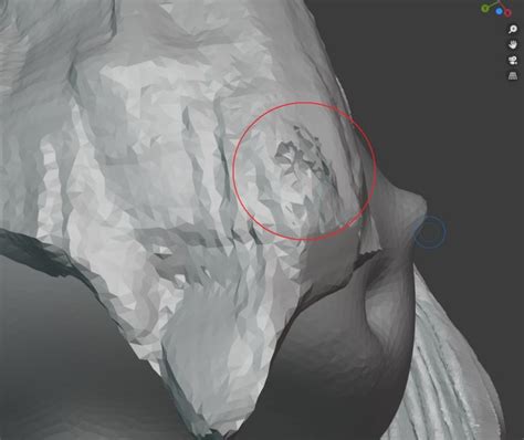 Blender Subdivide Shortcut Loop Tools Keyboard • Inspiremarinl