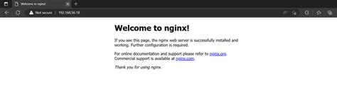 how to set up an nginx web server in ubuntu virtual machine using