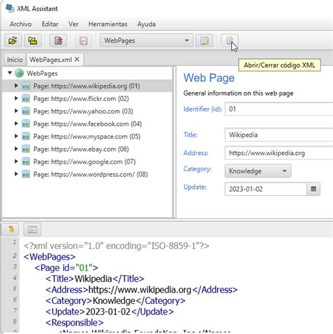 Manual Del Usuario Xml Assistant Xml Software