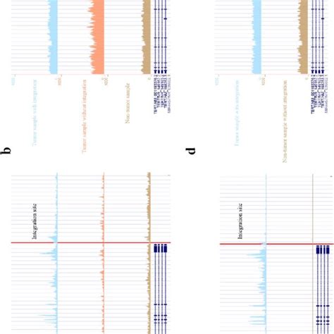 Pdf Analysis Of Viral Integration Reveals New Insights Of Oncogenic