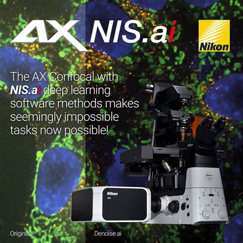 Confocal Microscopy Deeplearning Nikon Microscope Solutions