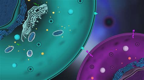Cell Cell And Cell Surface Interactions Bruker