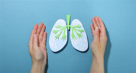 How Lung Cysts Progress In Bhd A Long Term Patient Study Monitoring L