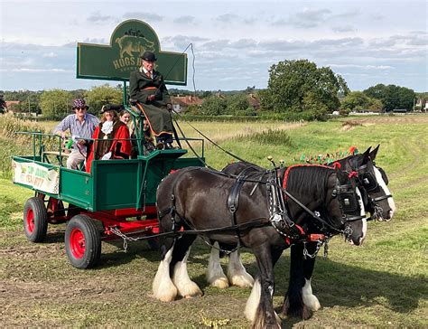 Hogs Back Celebrates Hop Harvest Whats Brewing