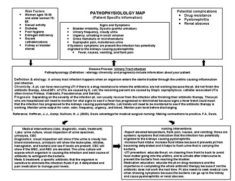 Care Plan 2 Concept Map Uti Pathophysiololgy Map Patient Specific Information Disease