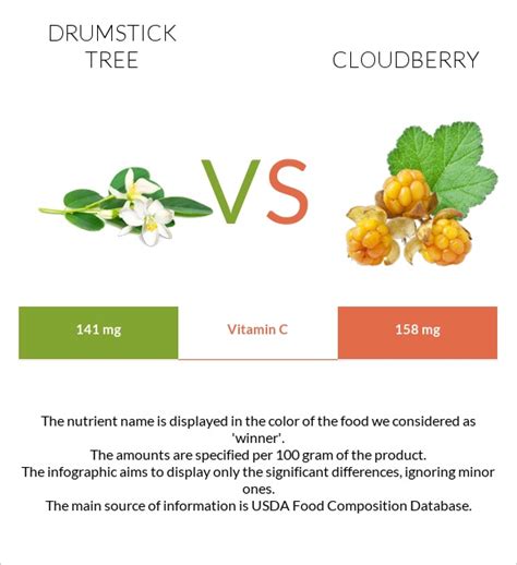 Drumstick Tree Vs Cloudberry — In Depth Nutrition Comparison
