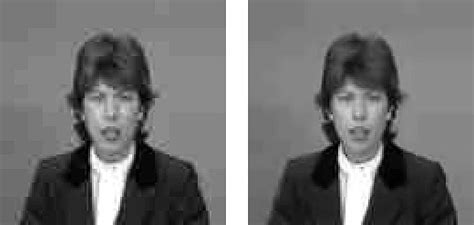 A Portion Of The Jpeg Coded Lena Image At 02989 Bpp B