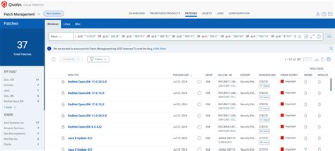 oracle critical patch update july 2024 security update review qualys
