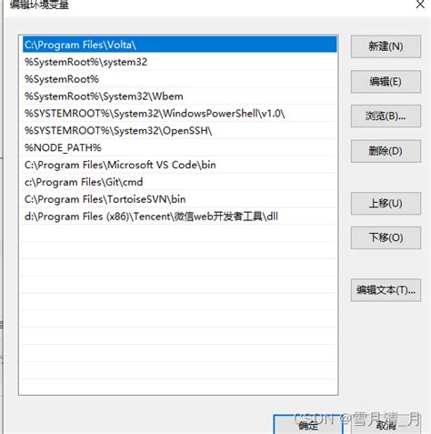 Volta版本管理工具的环境变量配置与迁移 Csdn博客