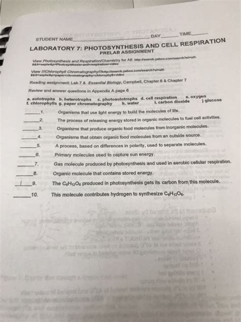 Solved DAY TIME STUDENT NAME LABORATORY CELL DIVISION Chegg