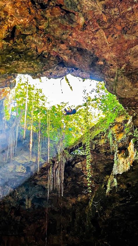 Chris Winig Chriswinig • Instagram Photos And Videos