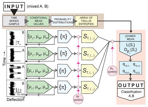 Entropy Free Full Text Entropy Based Strategies For Rapid Pre Processing And Classification