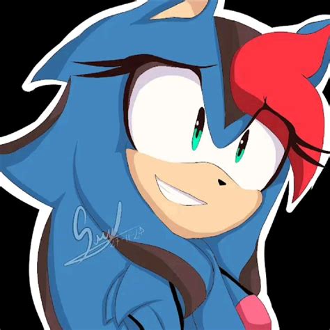 Shahory The Hedgehog Hija Sonadow Dibujos Diseño De Personajes