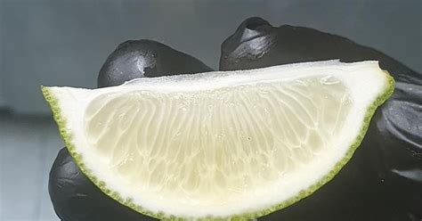 Its Nothing Fancy But I Sliced Some Limes Yesterday And Theyre Just