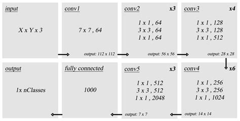 Original Resnet50 Architecture Download Scientific Diagram