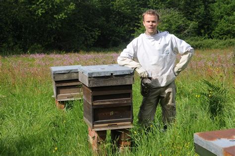 Beekeeper John Padfield Releases A Bee Colony Which He Removed From A Wheelie Bin In St Mellons