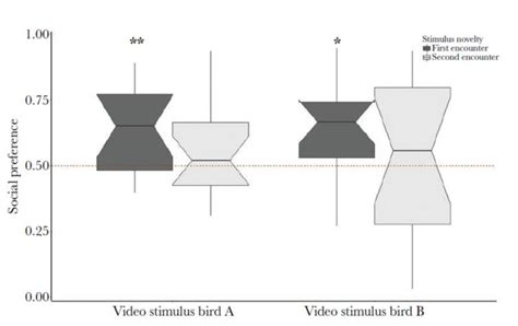 The Average Proportion Of Time Birds Spent In Front Of The Original Download Scientific Diagram