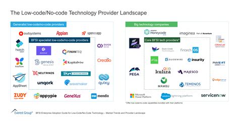 The Low Codeno Code Technology Provider Landscape Market Insights™ Everest Group