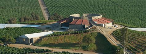 Revista Todos Santos Guía De La Ruta Del Vino Baja Cuisine Guide