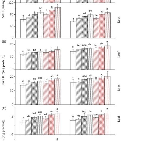 Effects Of Biochar Bc And Fe Mn Impregnated Biochar Fm On Enzyme Download Scientific