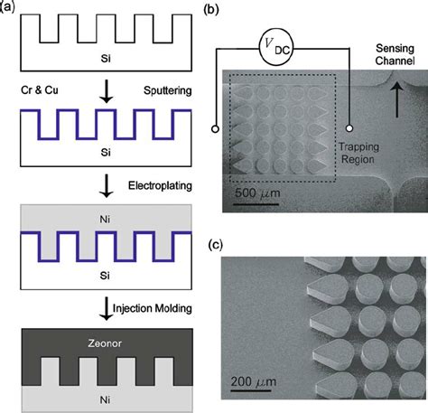 Microfluidic Device Fabrication A Fabrication Steps Of Injection Download Scientific