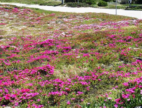 Breathtaking Rocky Shore Of Pacific Grove At Its Best With Spectacular