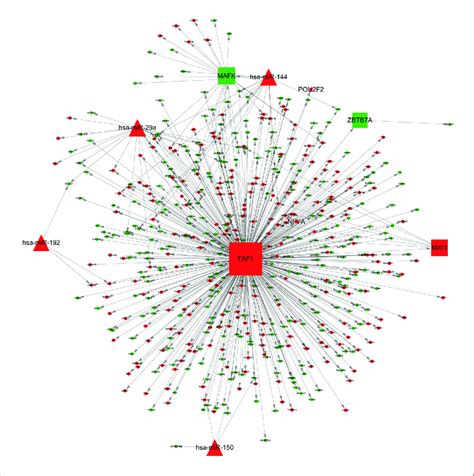 The Mirna Tf Gene Regulatory Network Of Type 2 Diabetes Mellitus