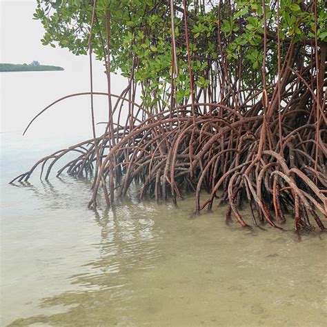 Marin Pugnat Posted On Linkedin