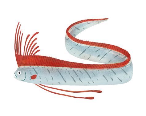 Art Print Illustration Oarfish Sea Serpent Etsy